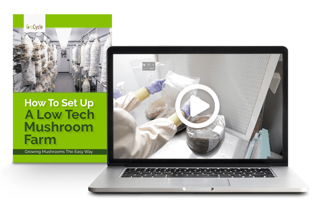 Online Mushroom Growing Course - GroCycle Courses